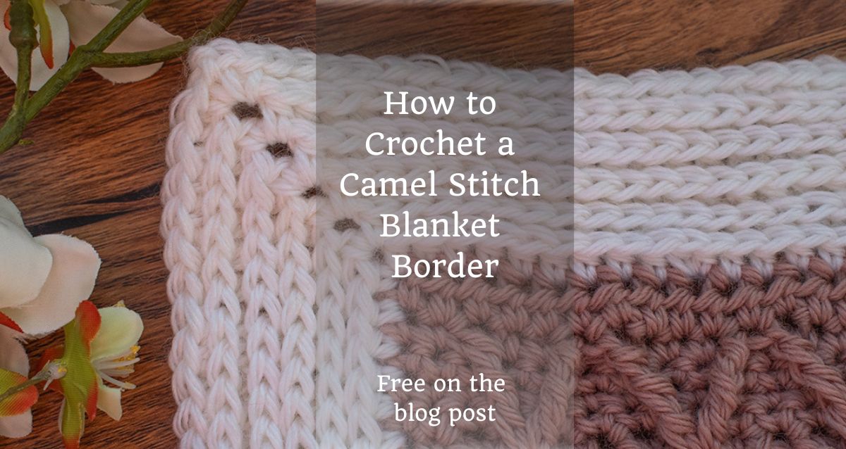 Master the Camel Stitch: Crochet a Beautiful Blanket Border - Sunflower ...